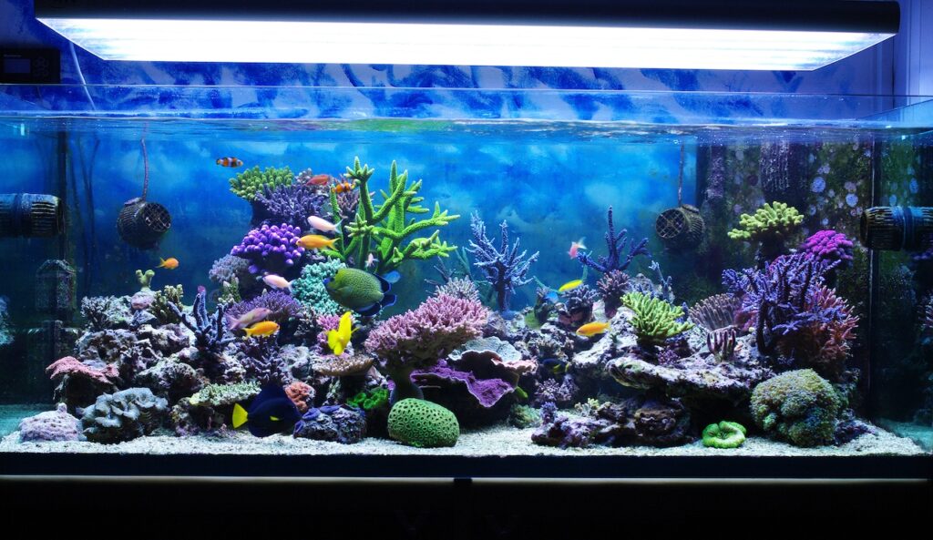 Services - aquadream.id
